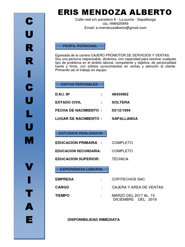 Curriculum Vitae DDD | PDF