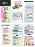 Leaflet Jahe Merah PDF | PDF