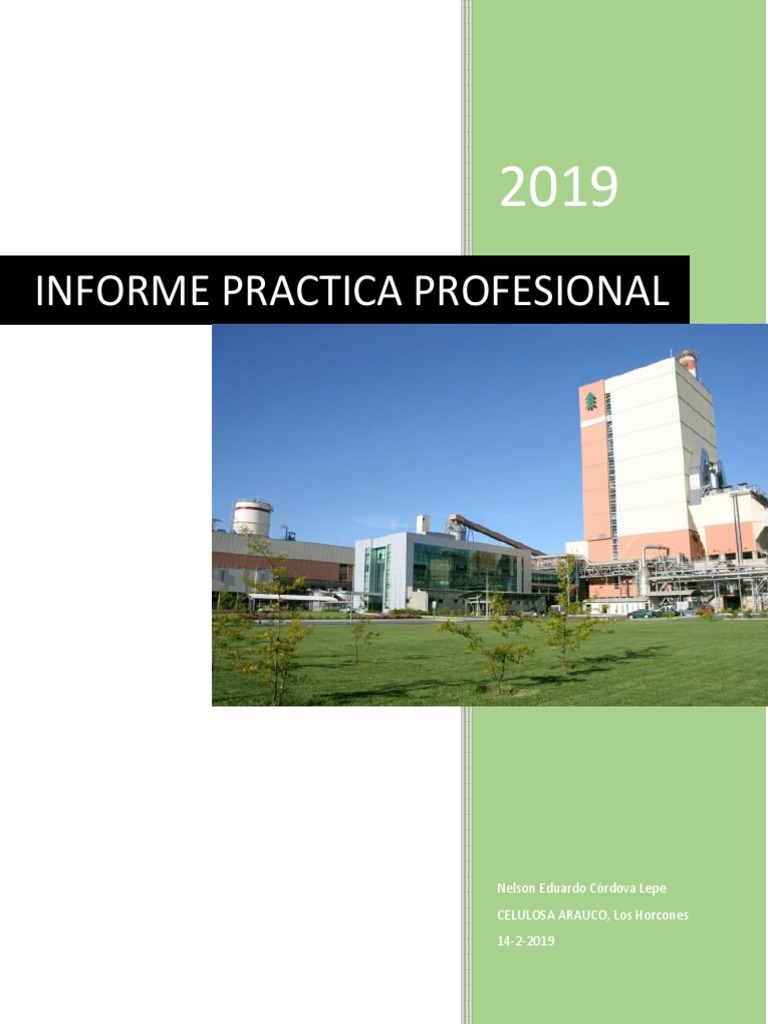 Informe Practica Profesional PDF | PDF | Microsoft Excel | Programa de ...