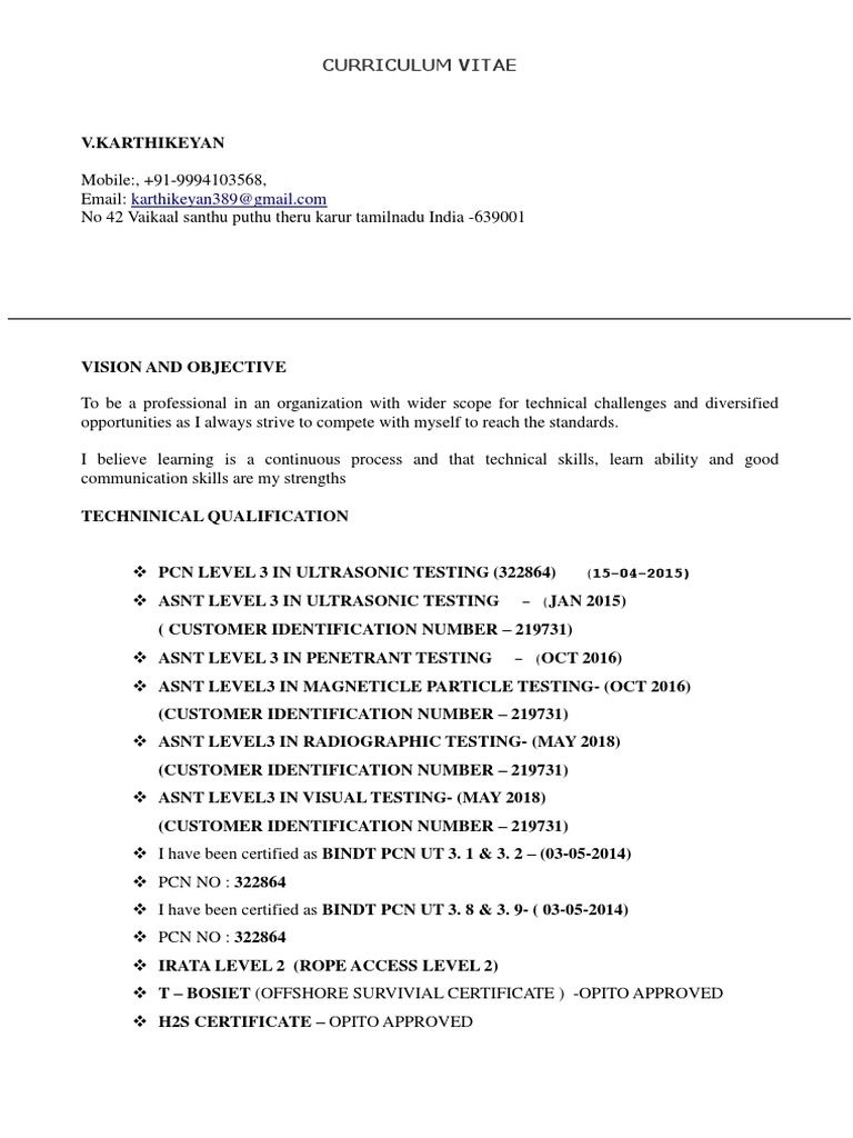 Example CV | PDF | Nondestructive Testing | Building Engineering