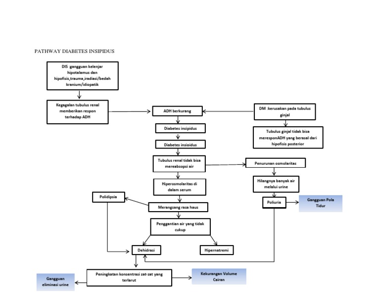 Pathway Diabetes Insipidus | PDF