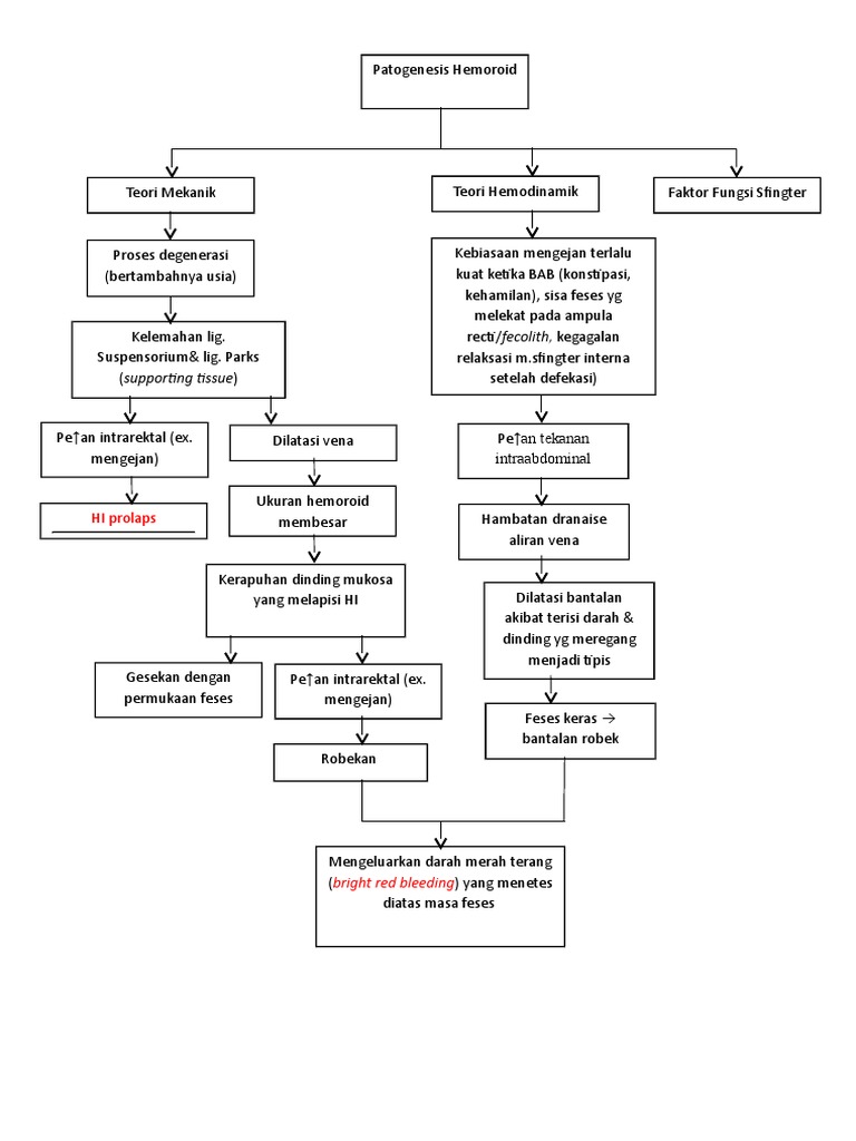 Patogenesis Hemoroid | PDF