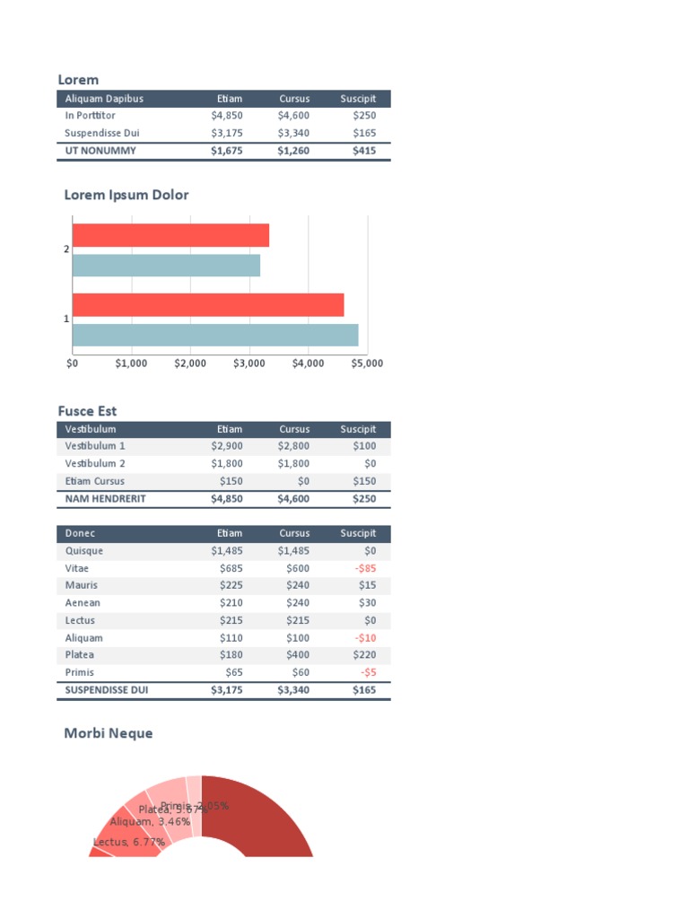 Nonummy Financial Overview | PDF | Text
