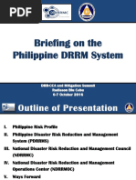 Roles and Responsibilities of Local DRRM Officers | PDF | Disaster Risk Reduction | Emergency