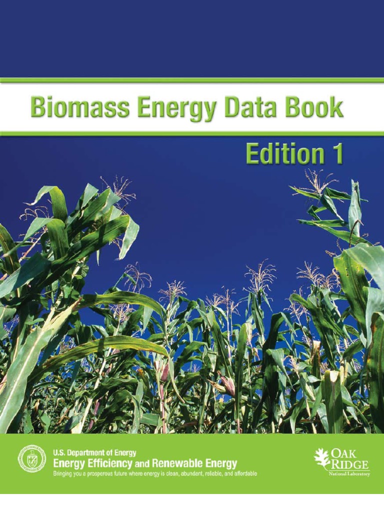 BIomass Energy Data Book 1 | PDF | Ethanol Fuel | Biomass