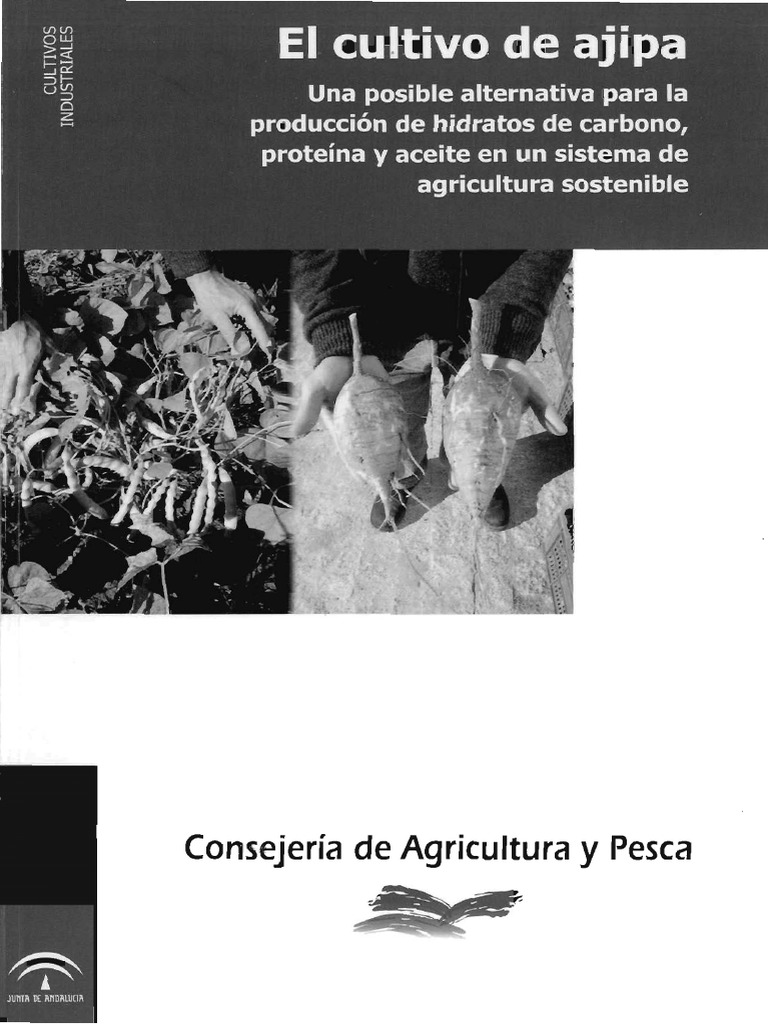 Ajipa PDF | PDF