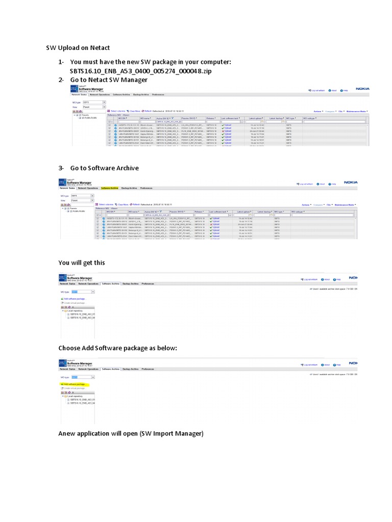 SW Import On Netact | PDF