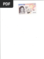 Dni David en Color | PDF