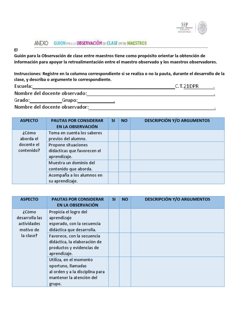 Guia de Observador | PDF | Evaluación | Aprendizaje