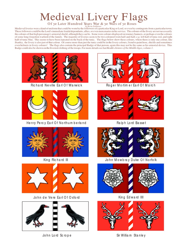 Med Flags PDF | PDF