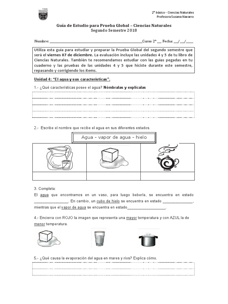 Guía Prueba Global Cs Nat 2º 2018 | PDF | El ciclo del agua | Clima