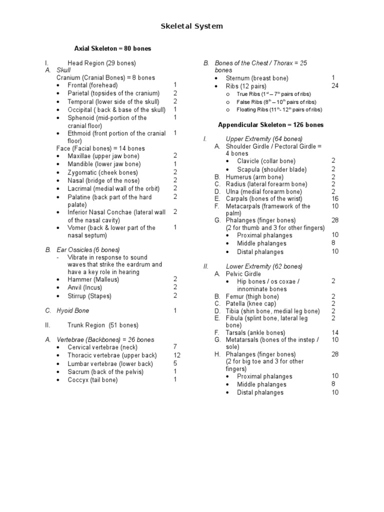 Skeletal System | PDF | Skull | Vertebra