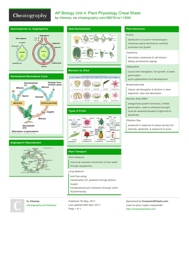 Plant Physiology Cheat Sheet: A Concise Guide to Key Concepts in Plant ...