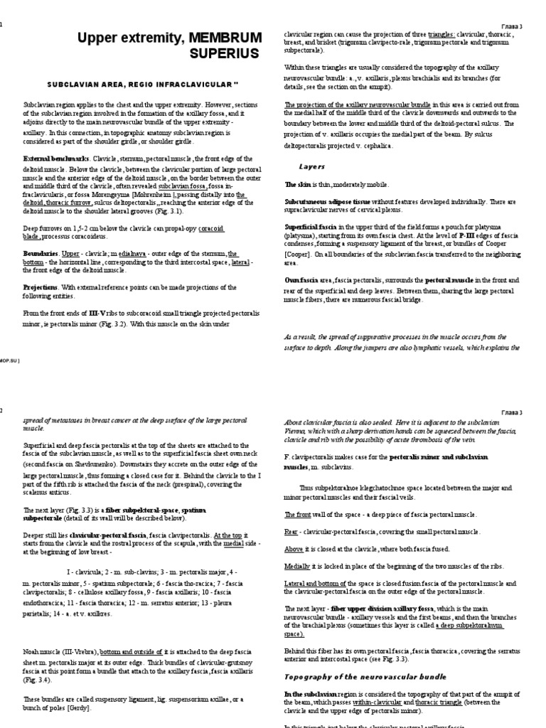 Upper Extremity, MEMBRUM Superius: Layers | PDF | Arm | Shoulder