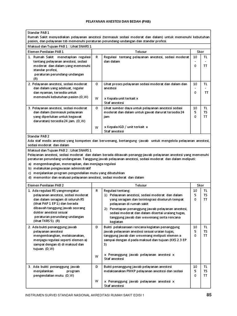 Instrumen Snars Pab | PDF