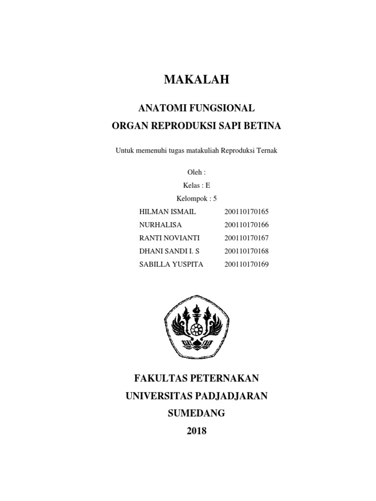Anatomi Organ Reproduksi Sapi Betina | PDF