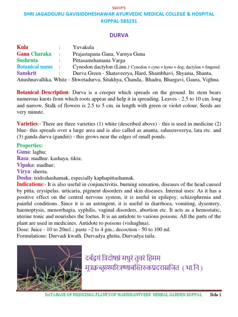 DURVA | PDF | Ayurveda | Plants