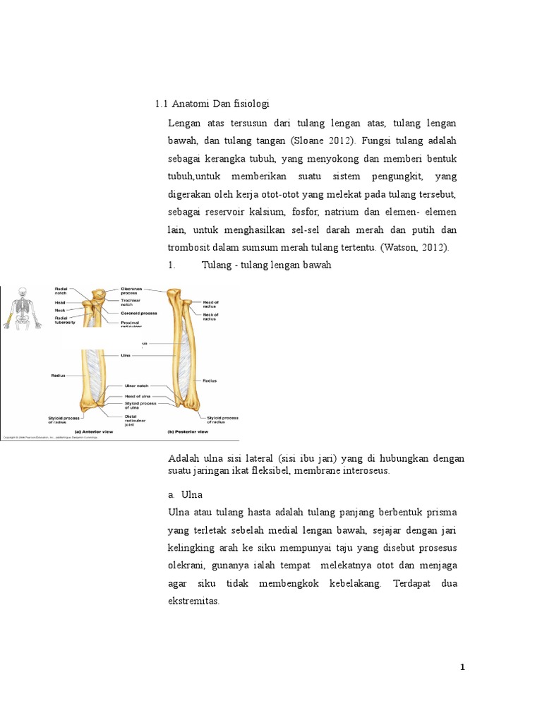 LP Fraktur Radius Ulna | PDF