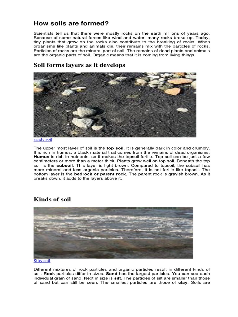 How Soils Are Formed | PDF | Topsoil | Soil