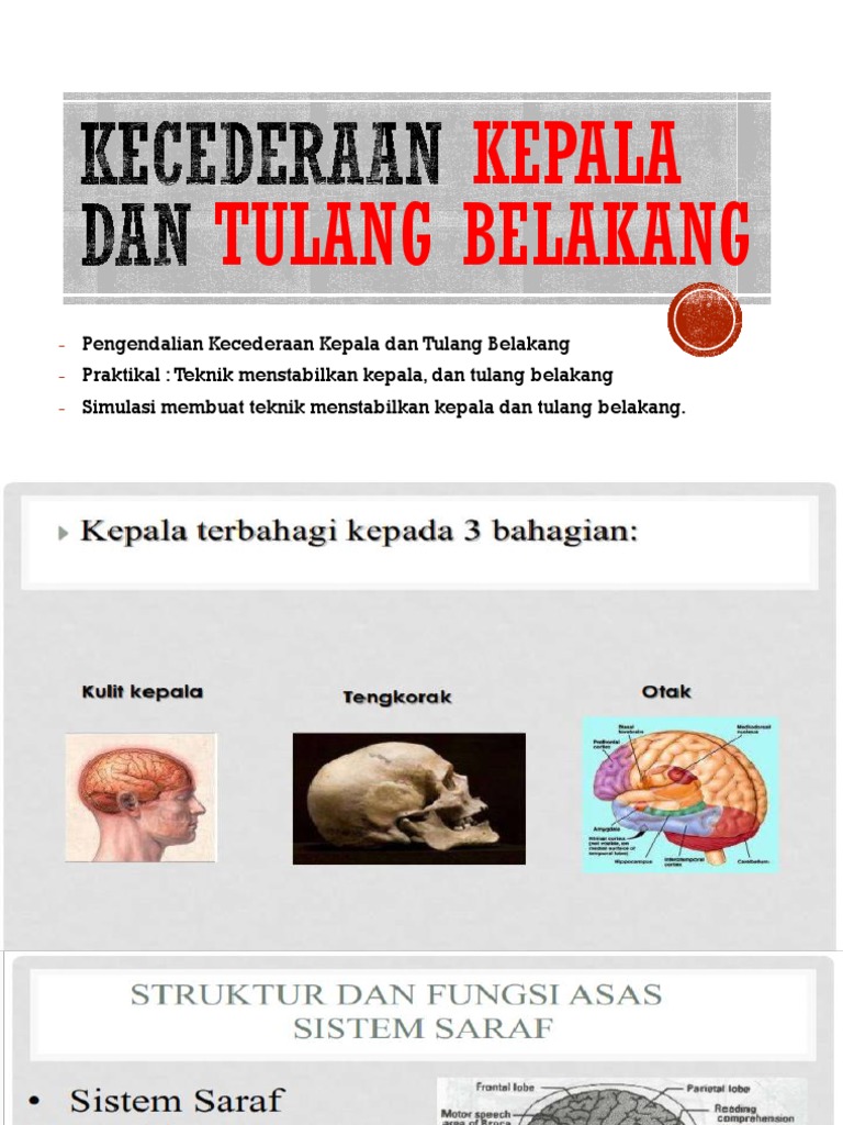 Kecederaan Kepala Dan Tulang Belakang | PDF