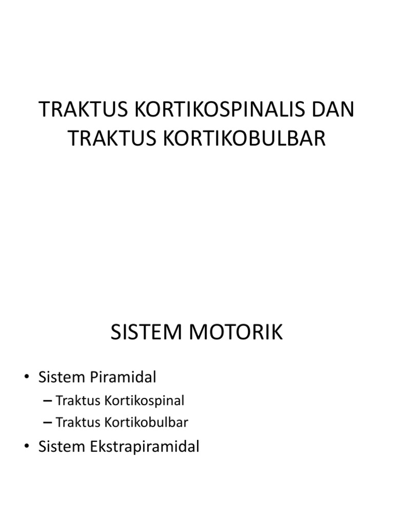 Traktus Kortikospinalis Dan Traktus Kortikobulbar | PDF