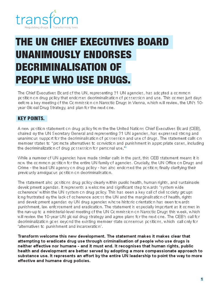 UN CEB Briefing 2019 | PDF | Crime & Violence | Crime Thriller