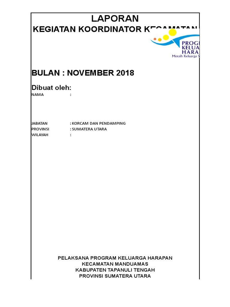 PROGRAM MONITORING REPORT | PDF