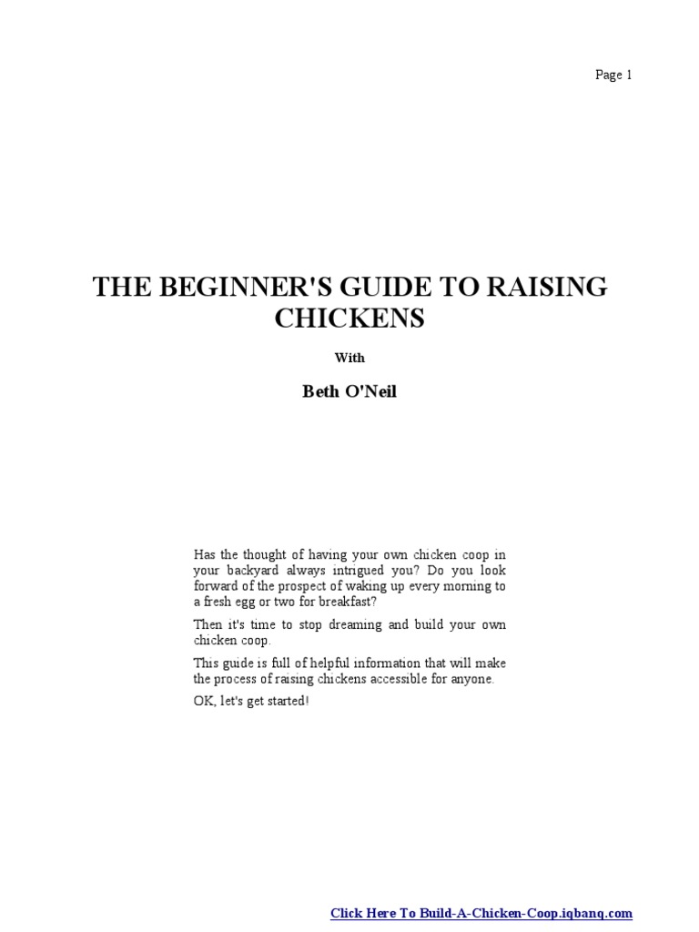Beginner's Chicken Coop Building Guide | PDF | Chicken | Scrap