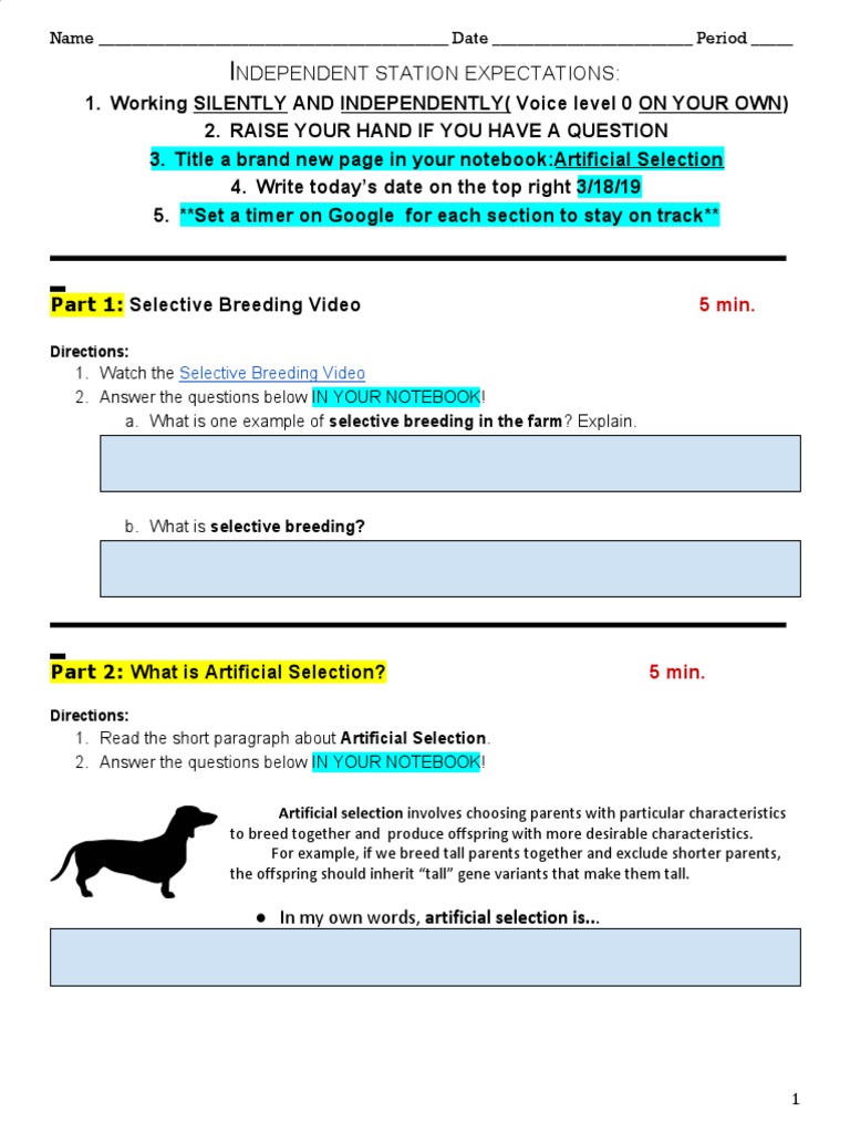 X-Men Artificial Selection Activity | PDF | Natural Selection ...
