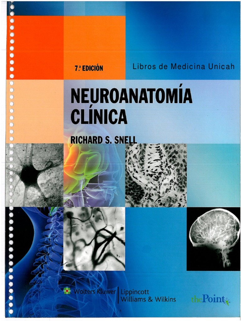 Neuroanatomia Clinica Snell 7ed Comprimido Libros de Medicina UNICAH ...