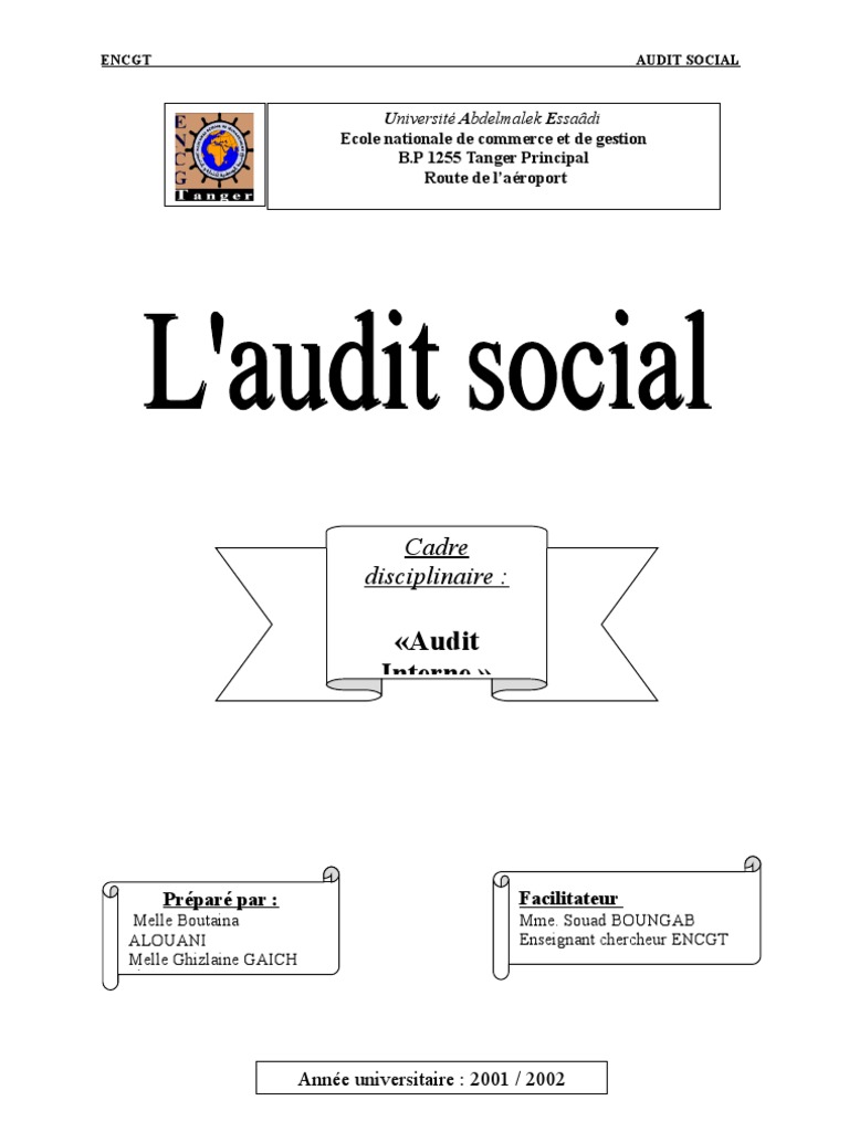 Audit Social : Évaluation des Ressources Humaines | PDF