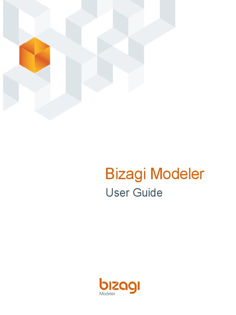 Bizagi User Guide PDF | PDF | Microsoft Windows | Software