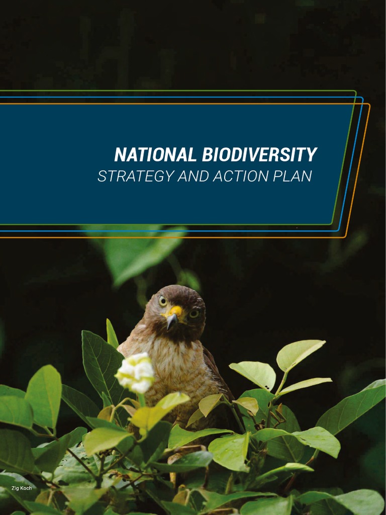 BR Nbsap v3 en PDF | PDF | Sustainability | Biodiversity