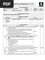 Sesion - de - Aprendizaje Clasificacion de Las Plantas | PDF | Plantas ...