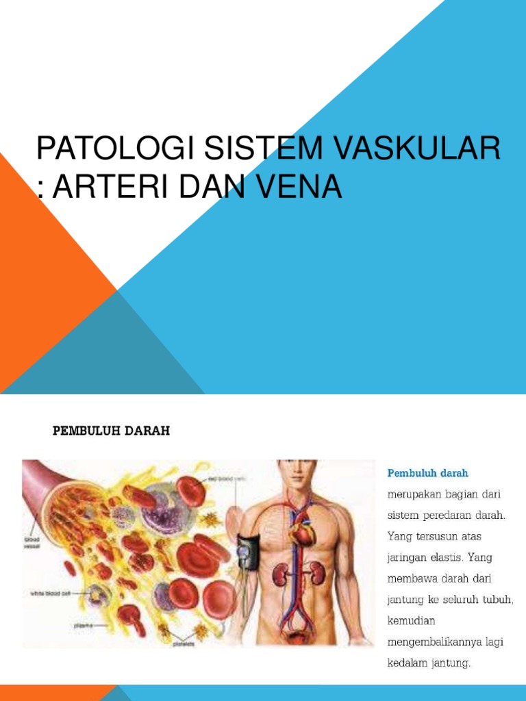 Patologi Penyakit Vaskular Perifer | PDF | Sains & Matematika