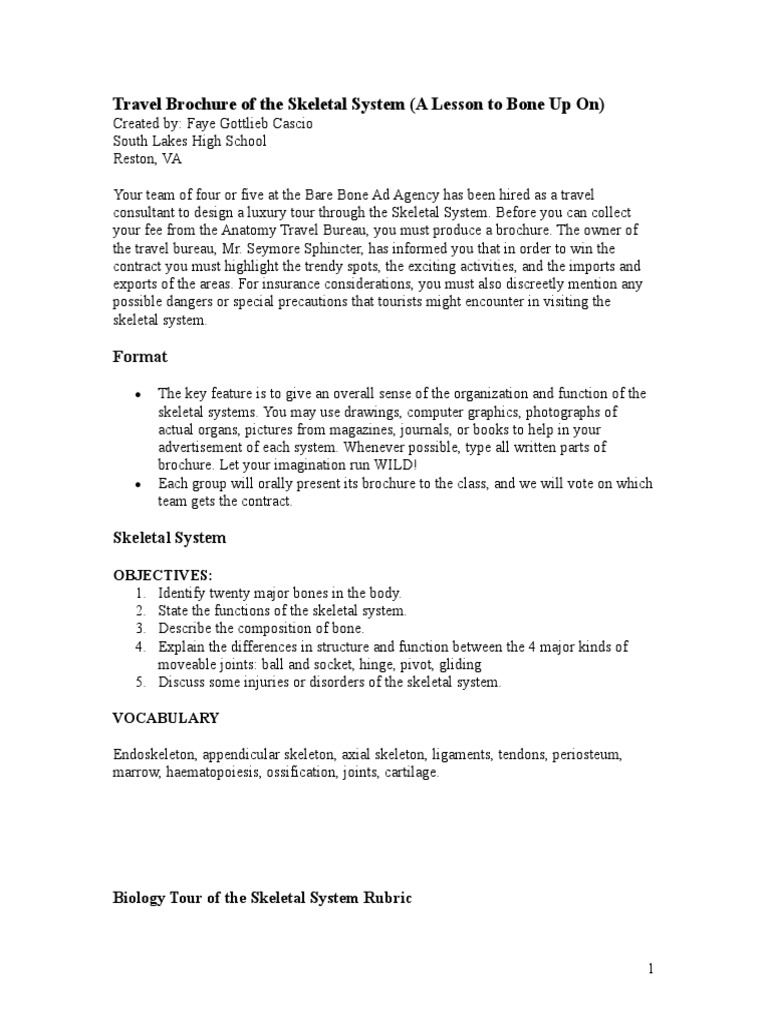 Travel Brochure of The Skeletal System | PDF | Skeleton ...