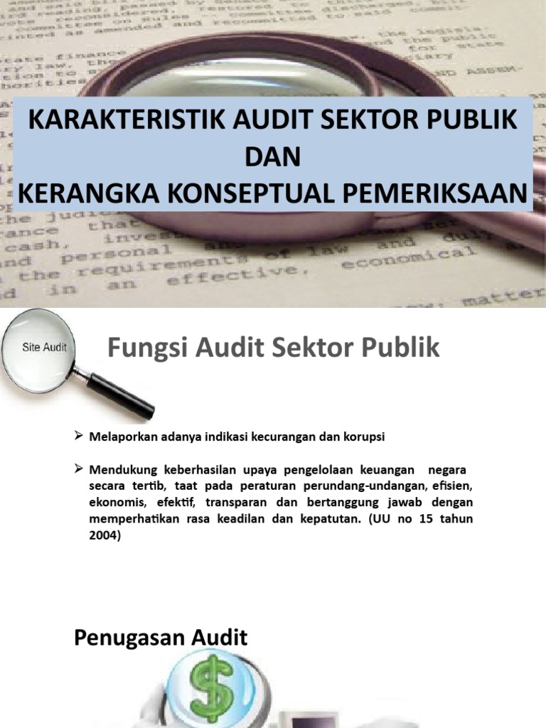 Karakteristik Audit Sektor Publik Dan Kerangka Konseptual Pemeriksaan | PDF