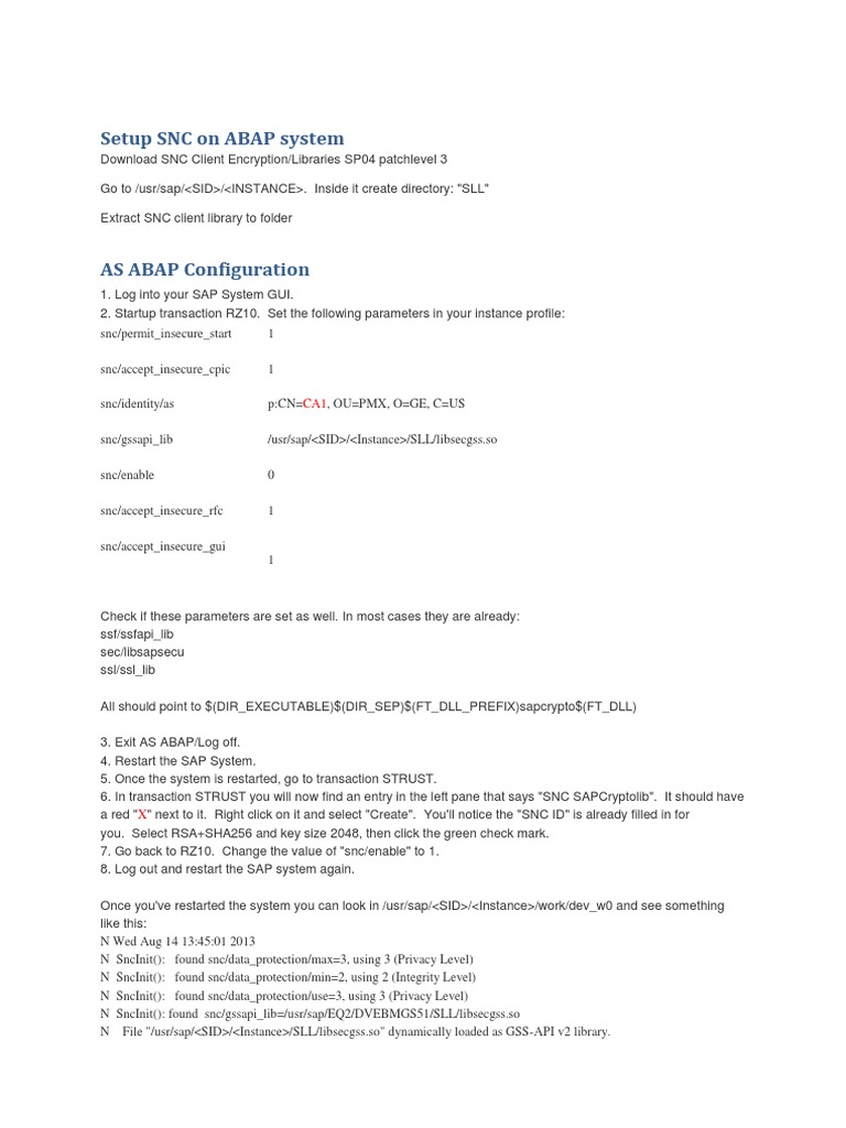 Setup SNC On ABAP System | PDF | Secure Communication | System Software