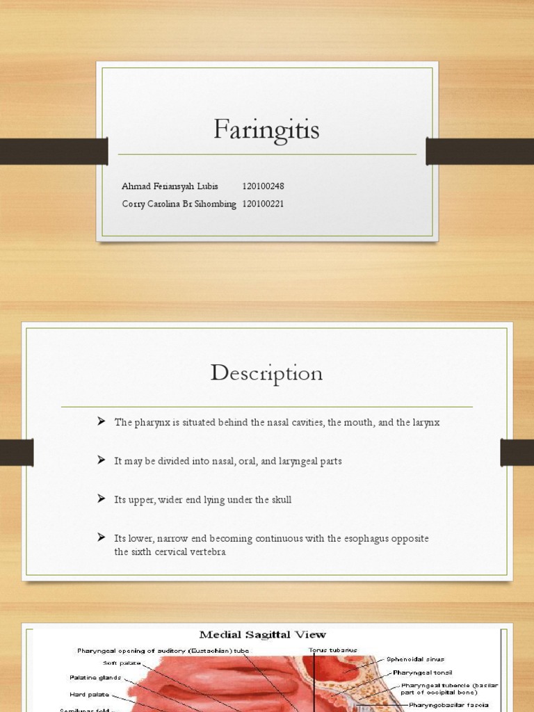 Faringitis Akut dan Kronik | PDF | Larynx | Primate Anatomy