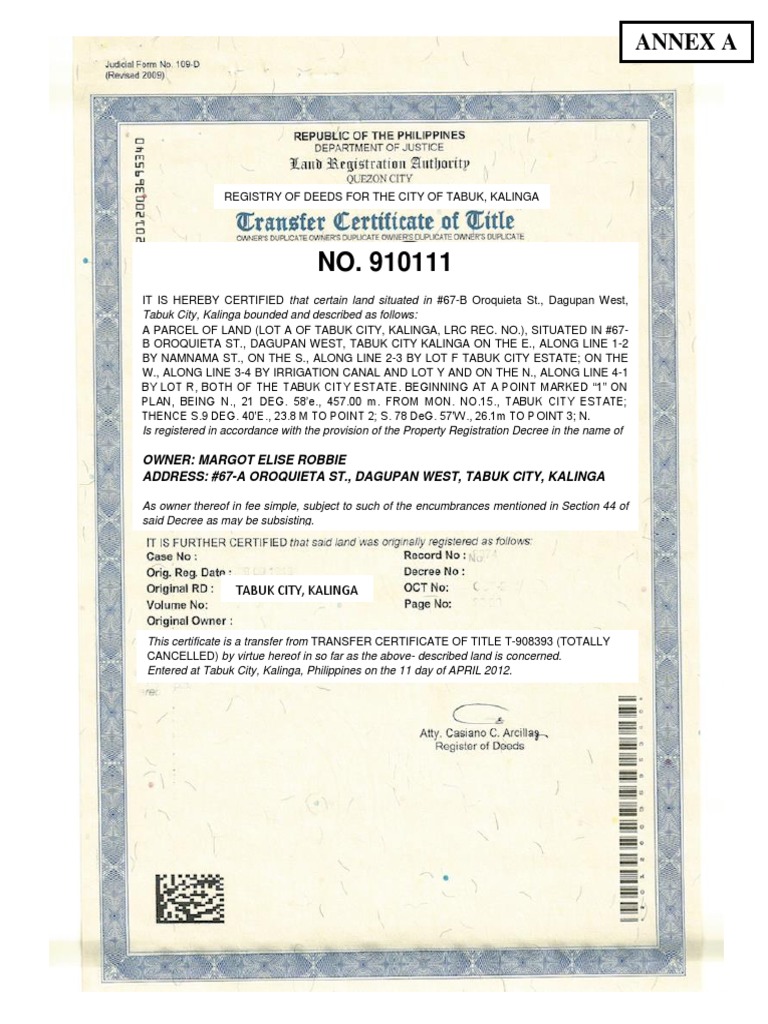 Transfer Certificate of Title | PDF