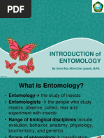 Introduction to Entomology Basics | PDF | Insects | Biology