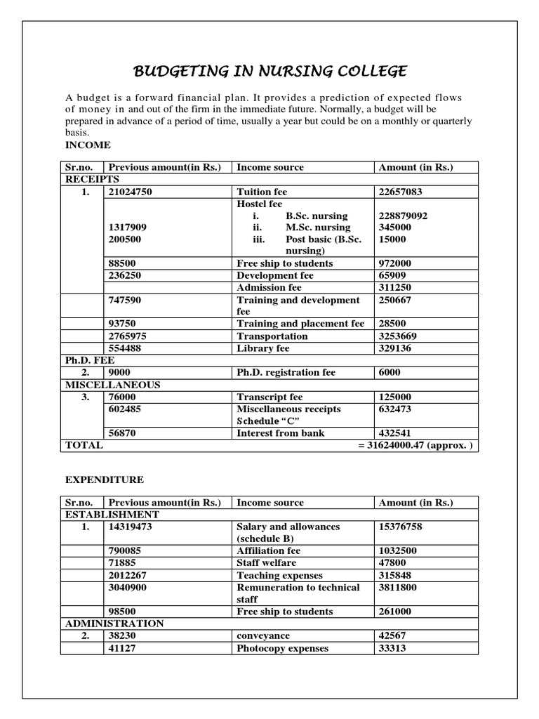 Nursing College Budget Overview | PDF | Fee | Economies
