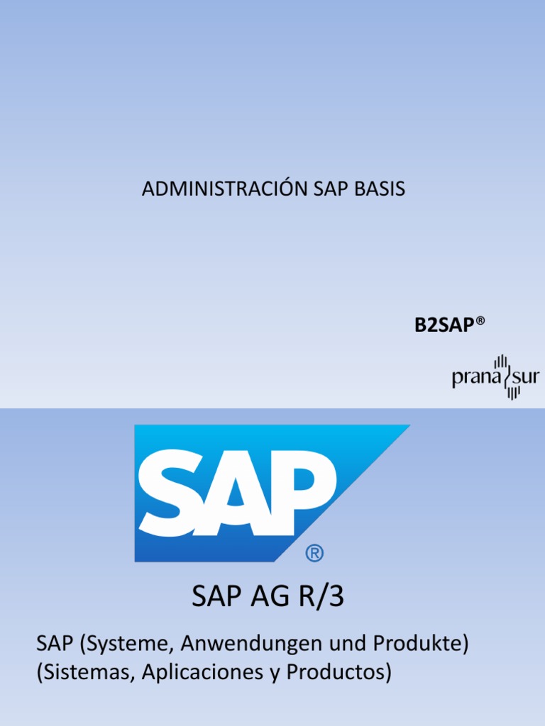 Curso SAP | Sistema operativo | Sap Se