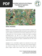 Características de la Selva Húmeda en México | PDF | Selva | Entorno ...