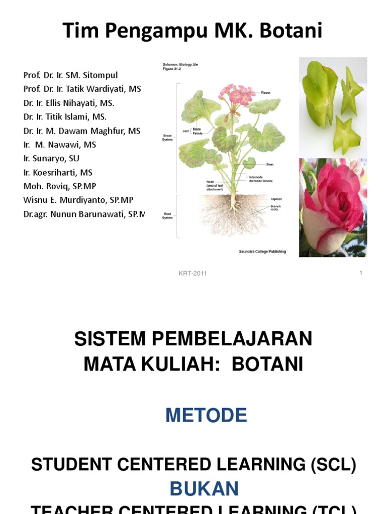Botani Pendahuluan | PDF | Botany | Plants