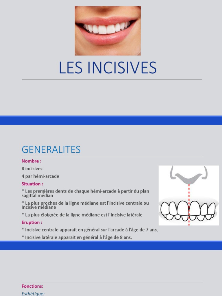 Guide des Incisives Dentaires | PDF | Anatomie dentaire | Bouche