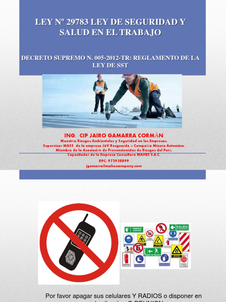 Ley 29783 Ds 005 2012 Tr Pdf Pdf Castigos Derecho Laboral