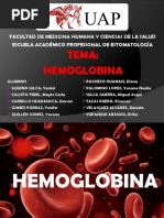Tipaje Sanguíneo: Hemaglutinación Directa | PDF | Tipo de sangre ...