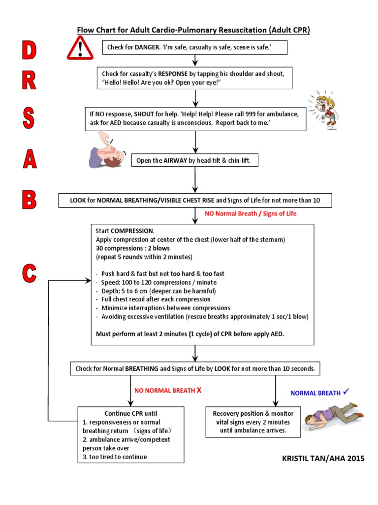 Flow Chart For Adult Cardio-Pulmonary Resuscitation (Adult CPR) | PDF ...