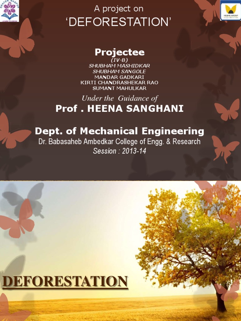 DEFORESTATION Project on Deforestation & its Impacts | PDF ...